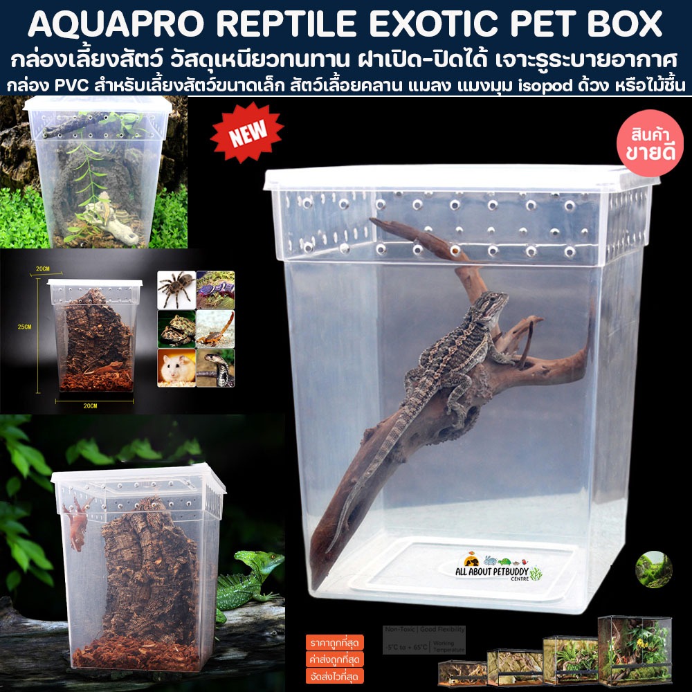 isopod box ถูกที่สุด พร้อมโปรโมชั่น ธ.ค. 2025 | BigGoเช็คราคาง่ายๆ