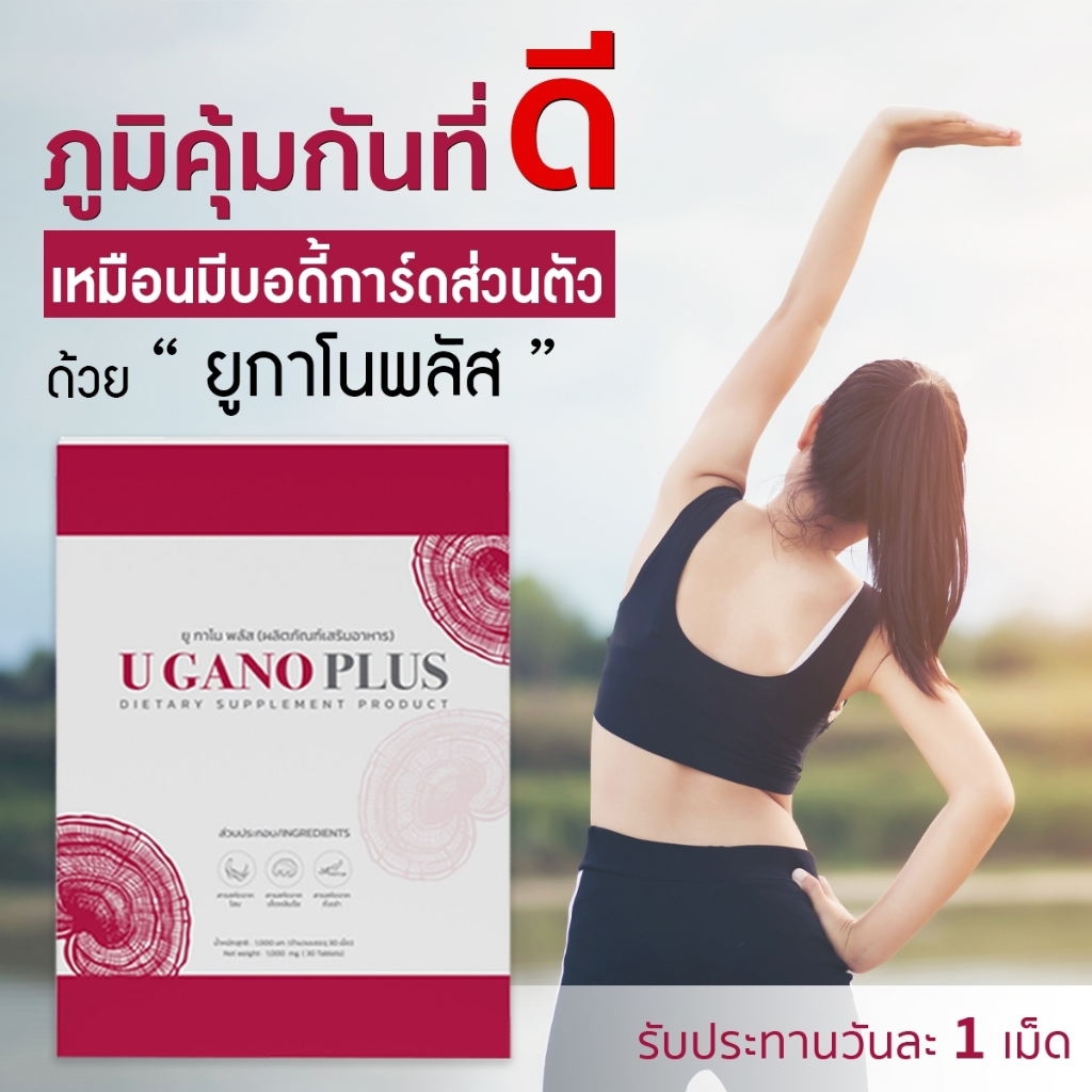 สปอร์เห็ดหลินจือแดง ถูกที่สุด พร้อมโปรโมชั่น ธ.ค. 2023|BigGoเช็คราคาง่ายๆ