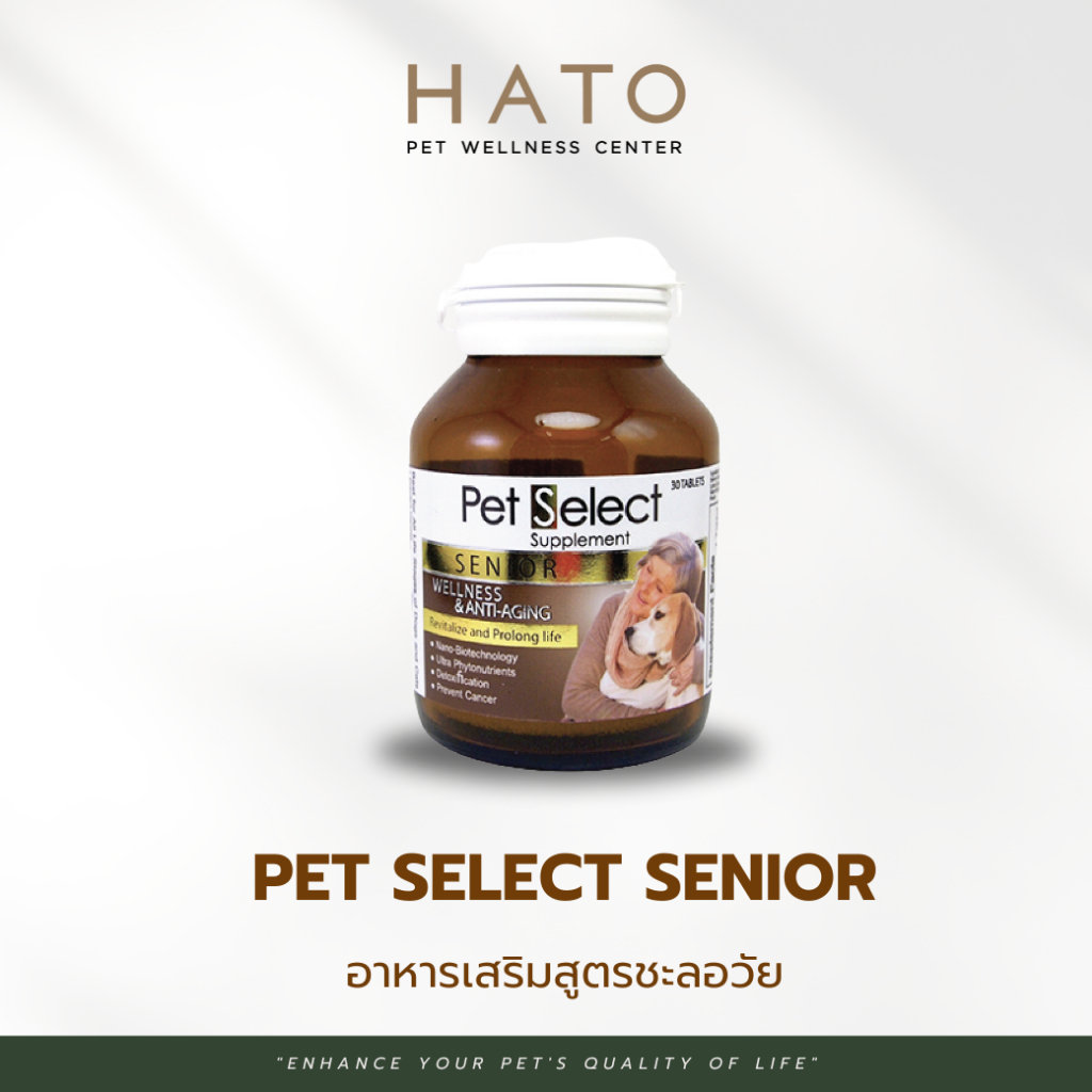 Senior Select ถูกที่สุด พร้อมโปรโมชั่น มิ.ย. 2025 | BigGoเช็คราคาง่ายๆ