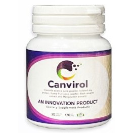 รักษามะเร็งสุนัข ถูกที่สุด พร้อมโปรโมชั่น มิ.ย. 2025 | BigGoเช็คราคาง่ายๆ