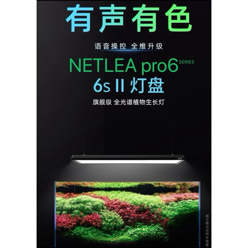 Netlea ไฟ ถูกที่สุด พร้อมโปรโมชั่น ธ.ค. 2025 | BigGoเช็คราคาง่ายๆ