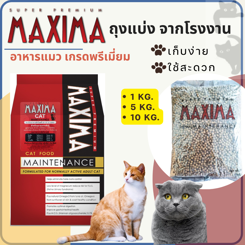 maxima cat maintenance ถูกที่สุด พร้อมโปรโมชั่น ส.ค. 2025 | BigGoเช็ค ...