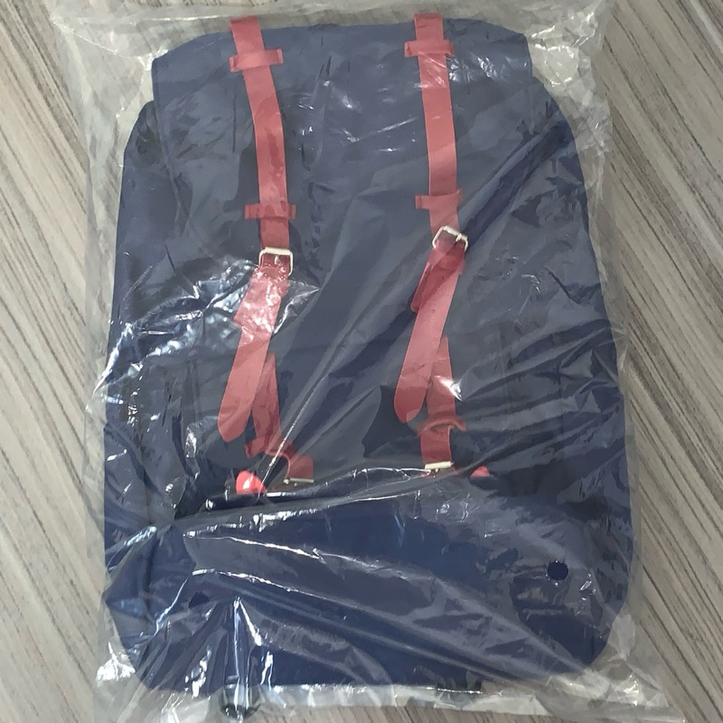 (NEW) กระเป๋าเป้ Santa barbara casual backpack ของแท้ พร้อมซีล ...