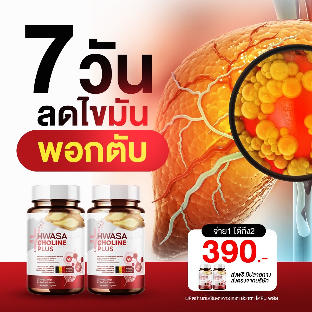 HWASA Choline Plus (บำรุงตับ) 18 g คอลลาเจนสำหรับบำรุงตับ ของแท้จาก ...