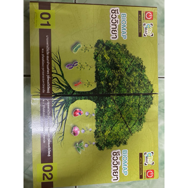 biomap พี่วิเวียน ถูกที่สุด พร้อมโปรโมชั่น ก.ย. 2025 | BigGoเช็คราคาง่ายๆ