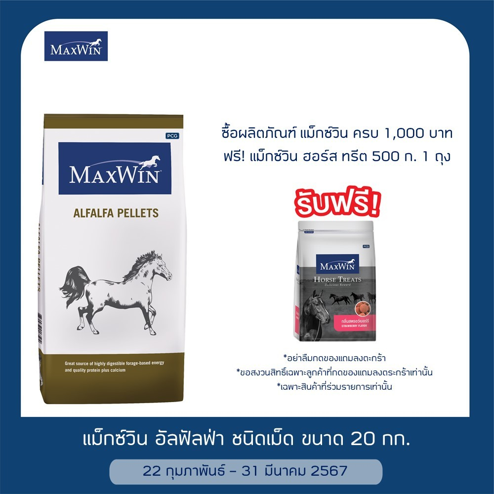 Maxwin ถูกที่สุด พร้อมโปรโมชั่น มี.ค. 2024|BigGoเช็คราคาง่ายๆ