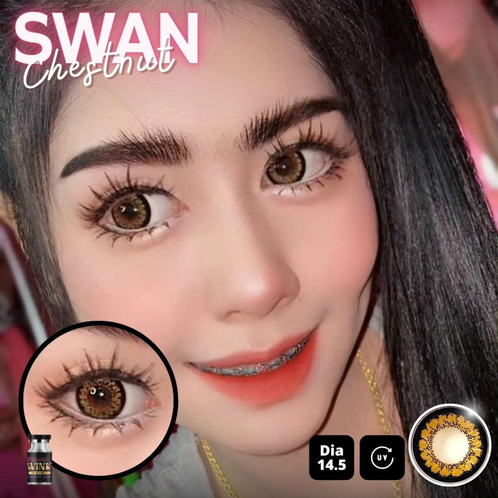 Wink WOW Chestnut ถูกที่สุด พร้อมโปรโมชั่น ก.พ. 2026 | BigGoเช็คราคาง่ายๆ