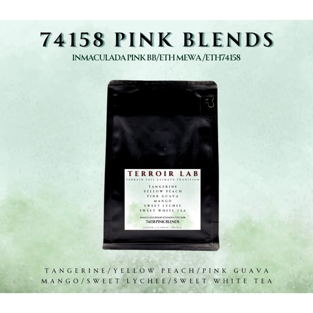 74158 ถูกที่สุด พร้อมโปรโมชั่น ต.ค. 2024|BigGoเช็คราคาง่ายๆ