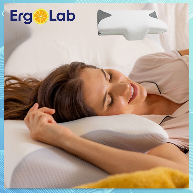 Ergolab ถูกที่สุด พร้อมโปรโมชั่น พ.ค. 2024|BigGoเช็คราคาง่ายๆ