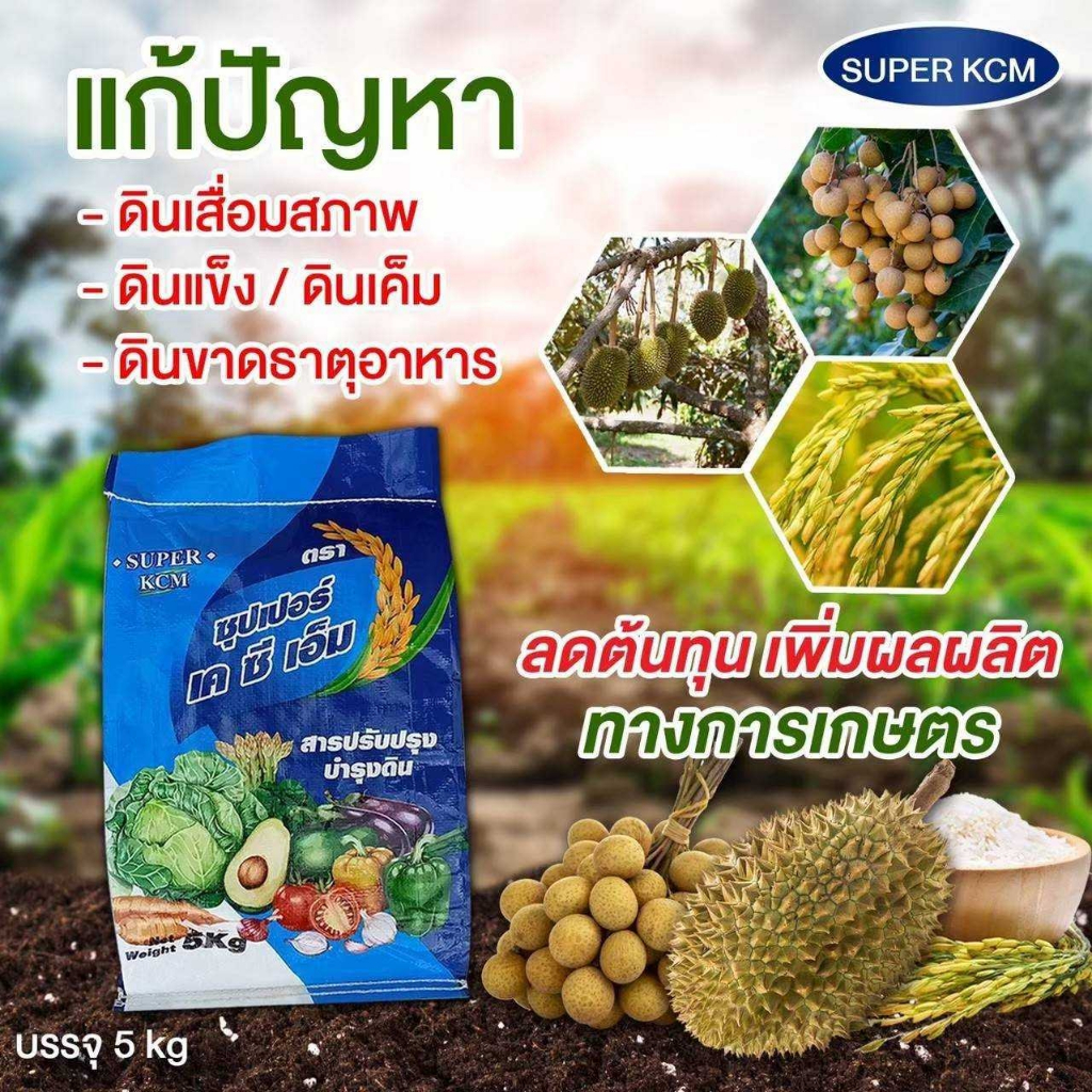 kcmปุ๋ย ถูกที่สุด พร้อมโปรโมชั่น มิ.ย. 2025 | BigGoเช็คราคาง่ายๆ