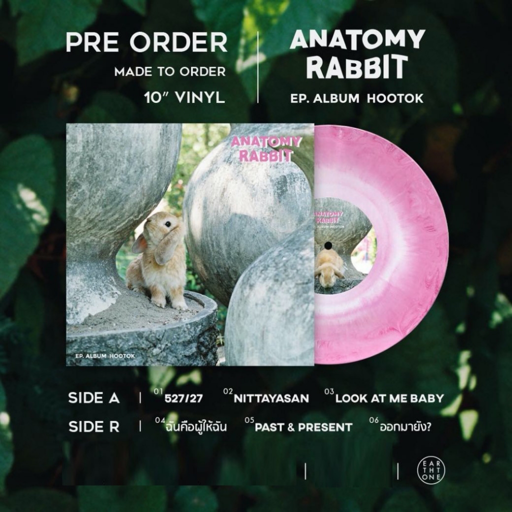 anatomy rabbit vinyl ถูกที่สุด พร้อมโปรโมชั่น ธ.ค. 2025 | BigGoเช็คราคา ...