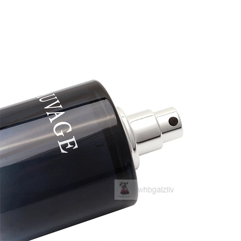ชื่อใหญ่จริงๆการซื้อทั่วโลกDior Sauvage For Men Eau De Parfum EDPEDT ...